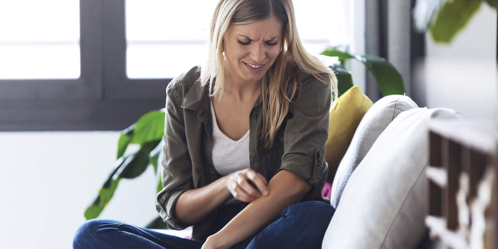 Flöhe im Bett: Erkennen & beseitigen